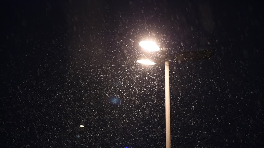 Snow Falling With Streetlight Beams At Night. Loop Able Snow Fall ...