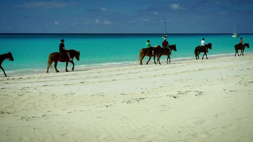 Stock video of people riding horses on a caribbean | 9576953 | Shutterstock